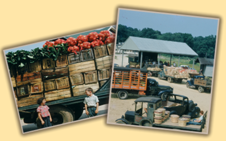 Our History – White Post Animal Farm of Melville