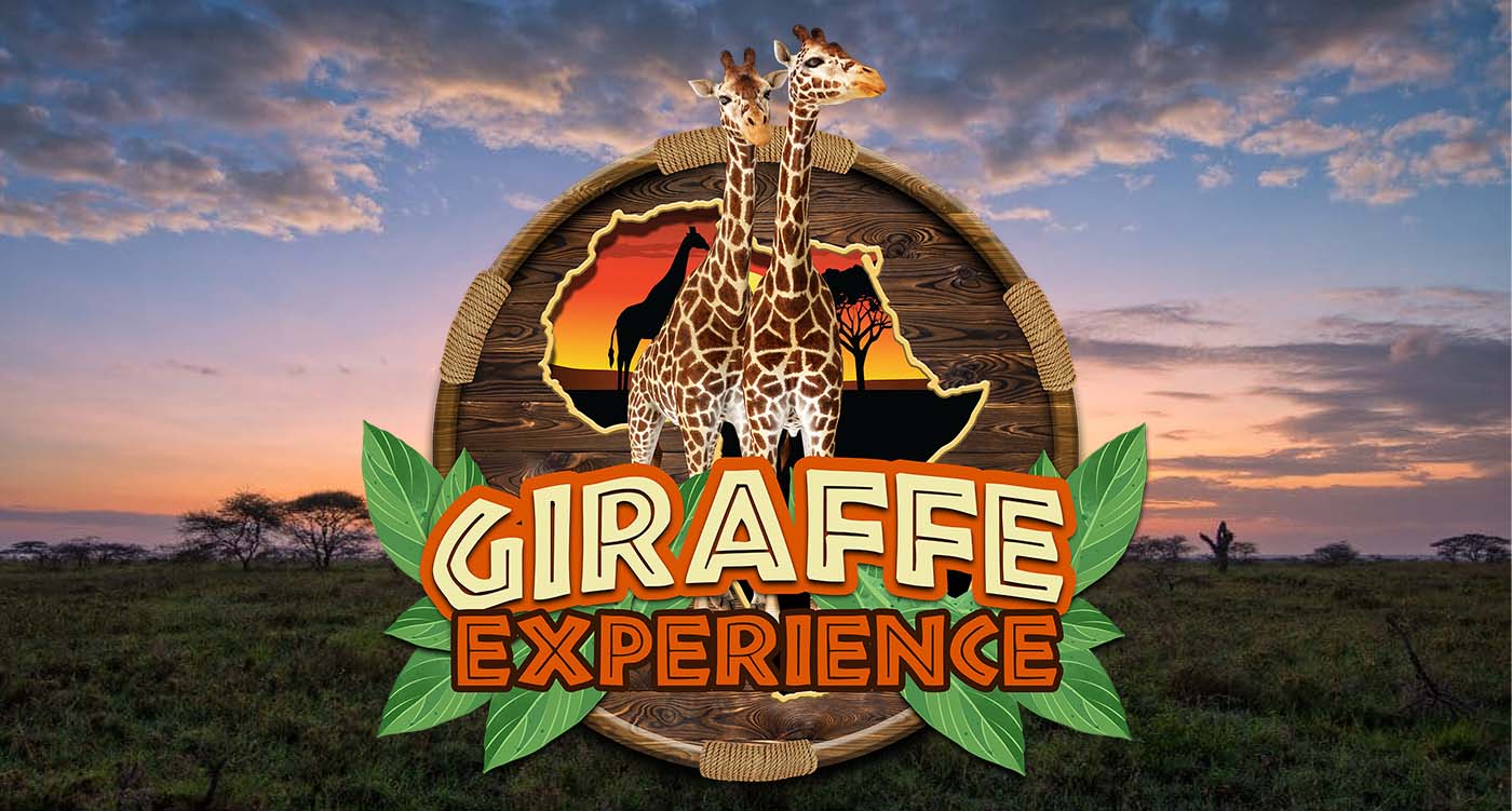 The Giraffe Experience – White Post Animal Farm of Melville