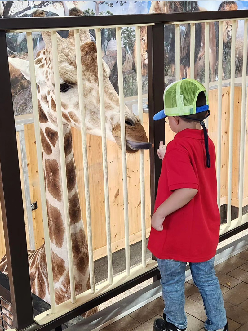 The Giraffe Experience – White Post Animal Farm of Melville